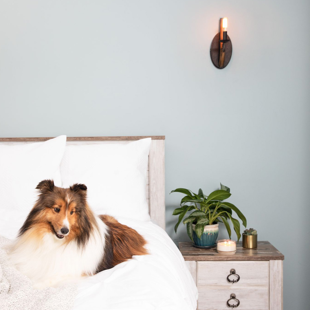 Our Wall Lights - Shop Richards Lighting Today